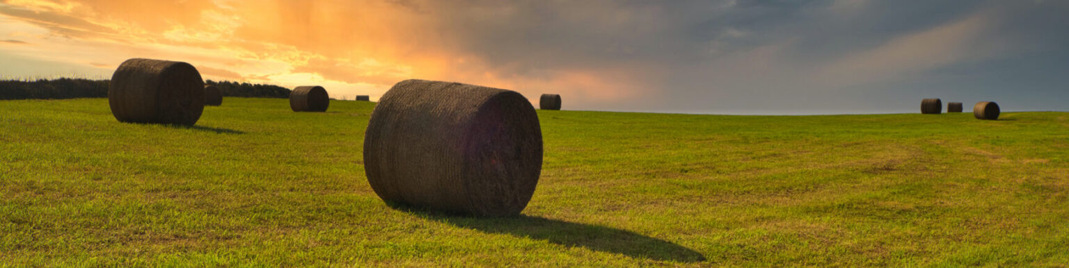 Visit Saltash Cornwall - Paul Michael Photography